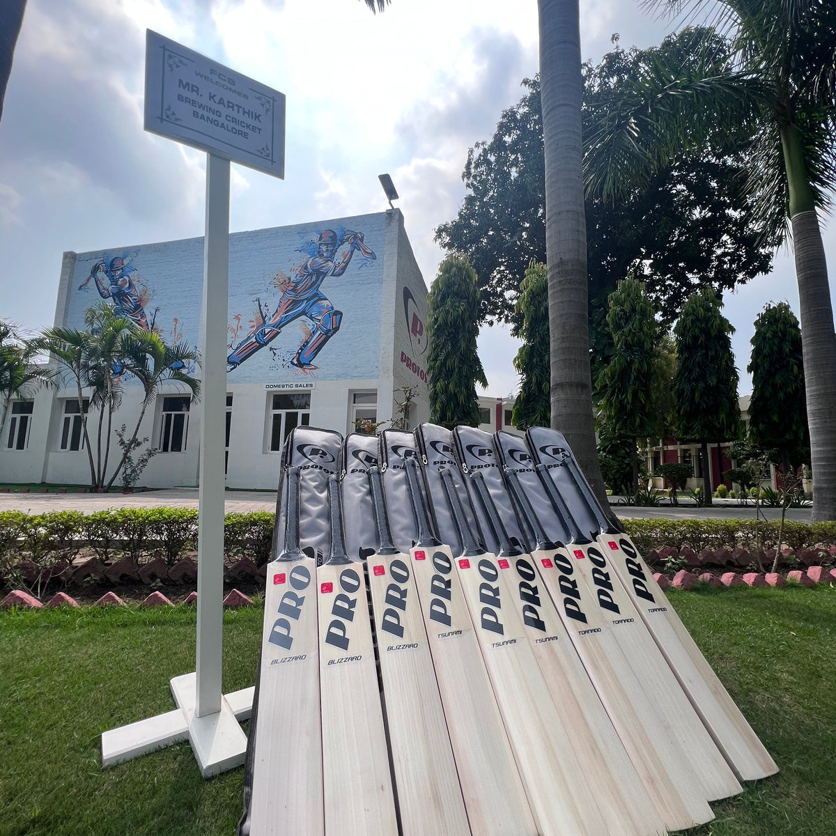 Protos Retro, Tornado Cricket Bat - Buy Online at Kragbuzz Retail